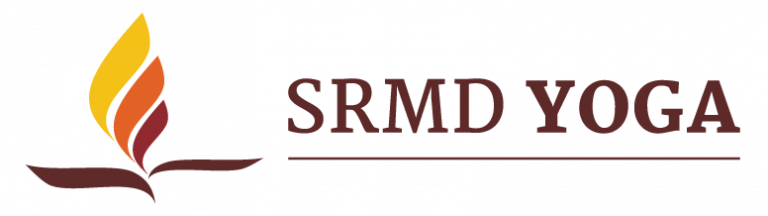 A Glance of 2017 I SRMD Yoga - SRMD Yoga