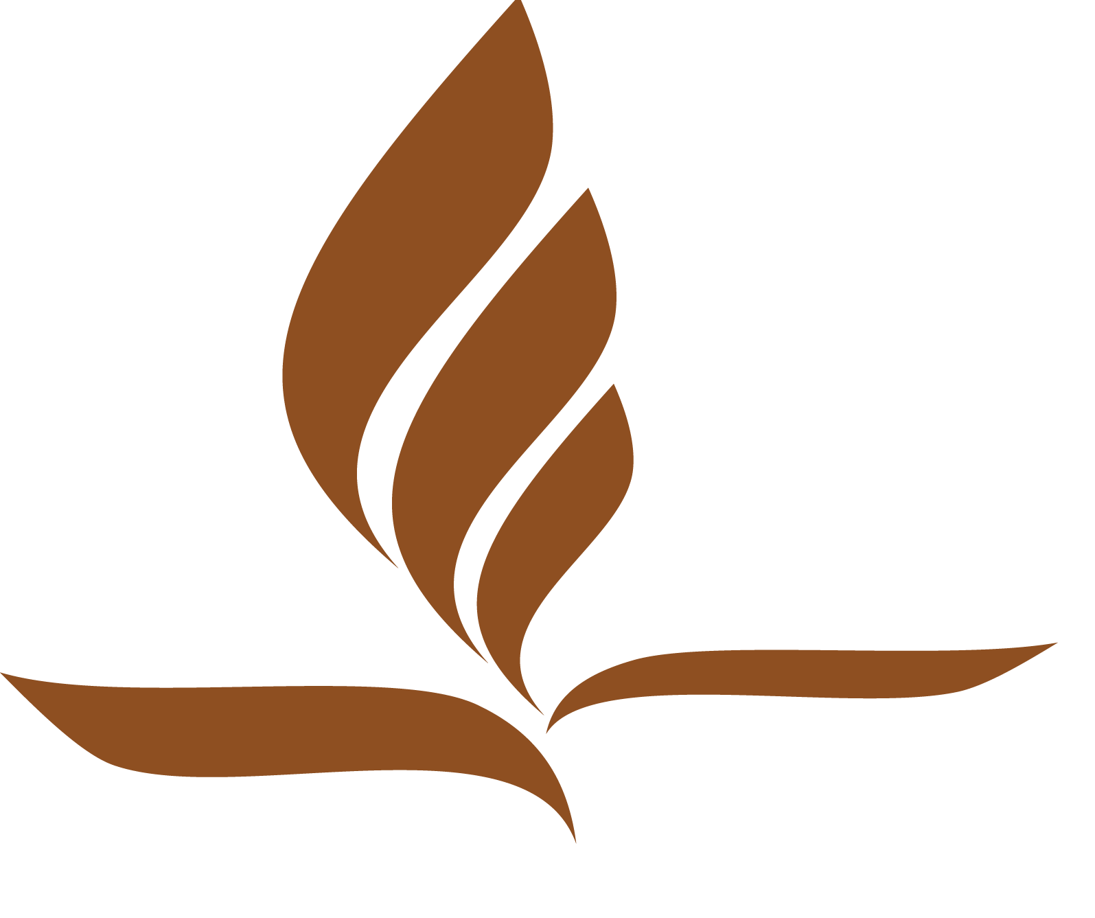 Shrimad Rajchandra Ashram Dharampur -International Headquarters - SRMD Yoga